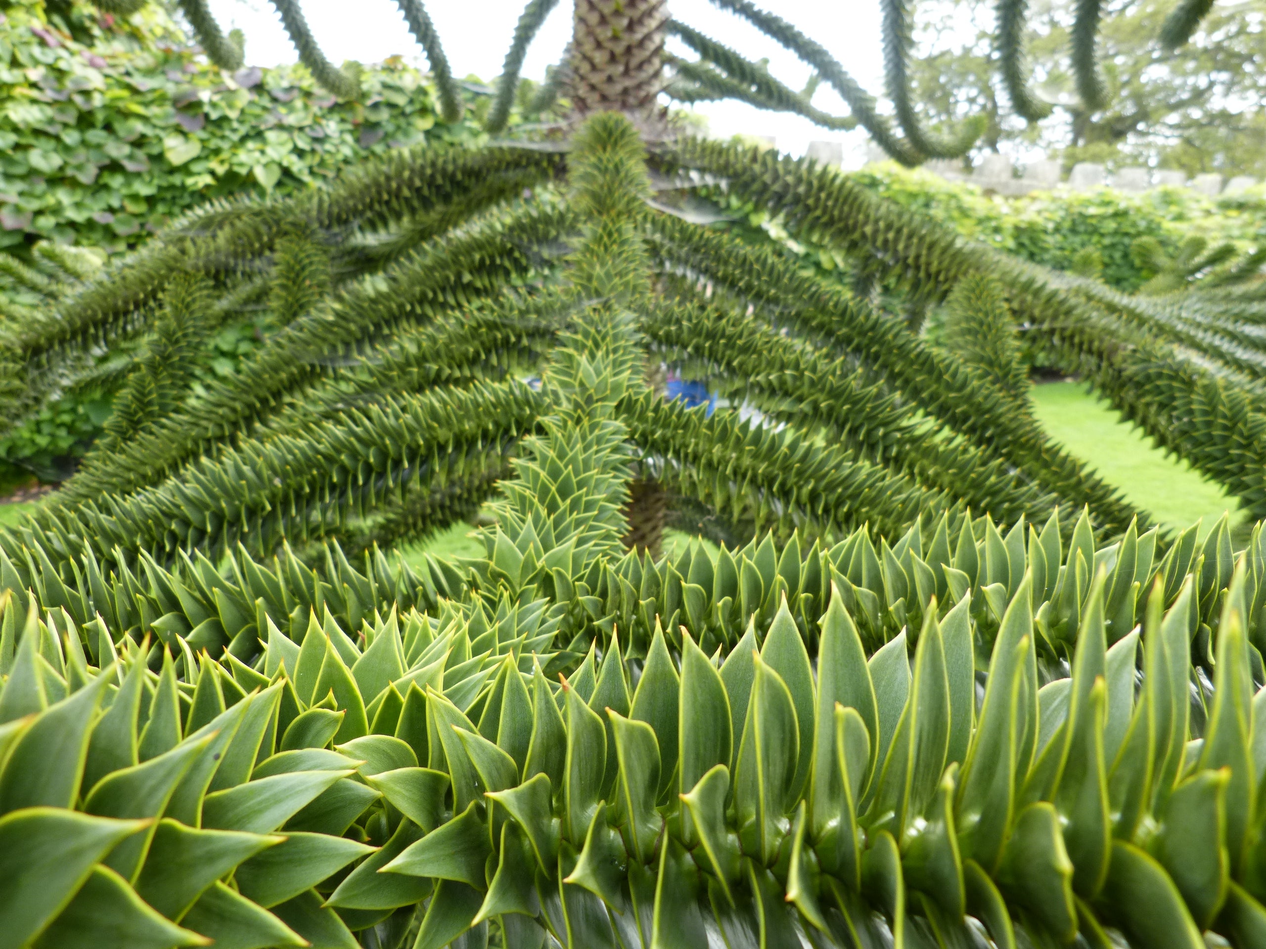 Lorem Ipsum – Technically Stable