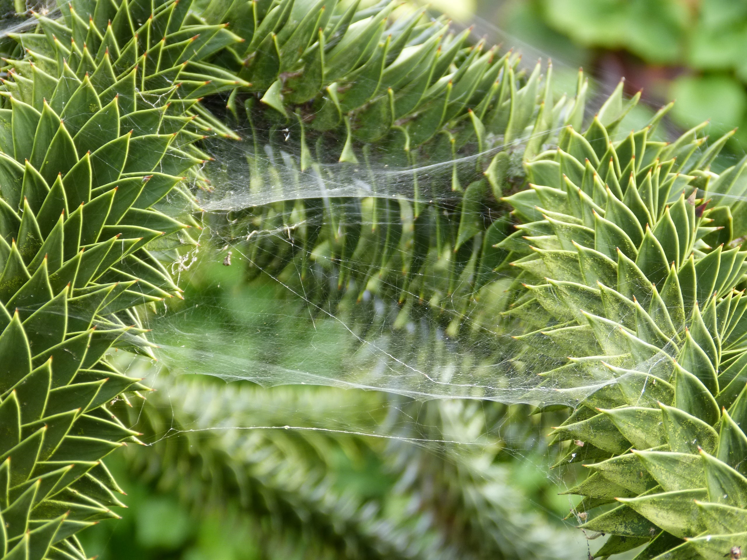 Lorem Ipsum 3 – Technically Stable