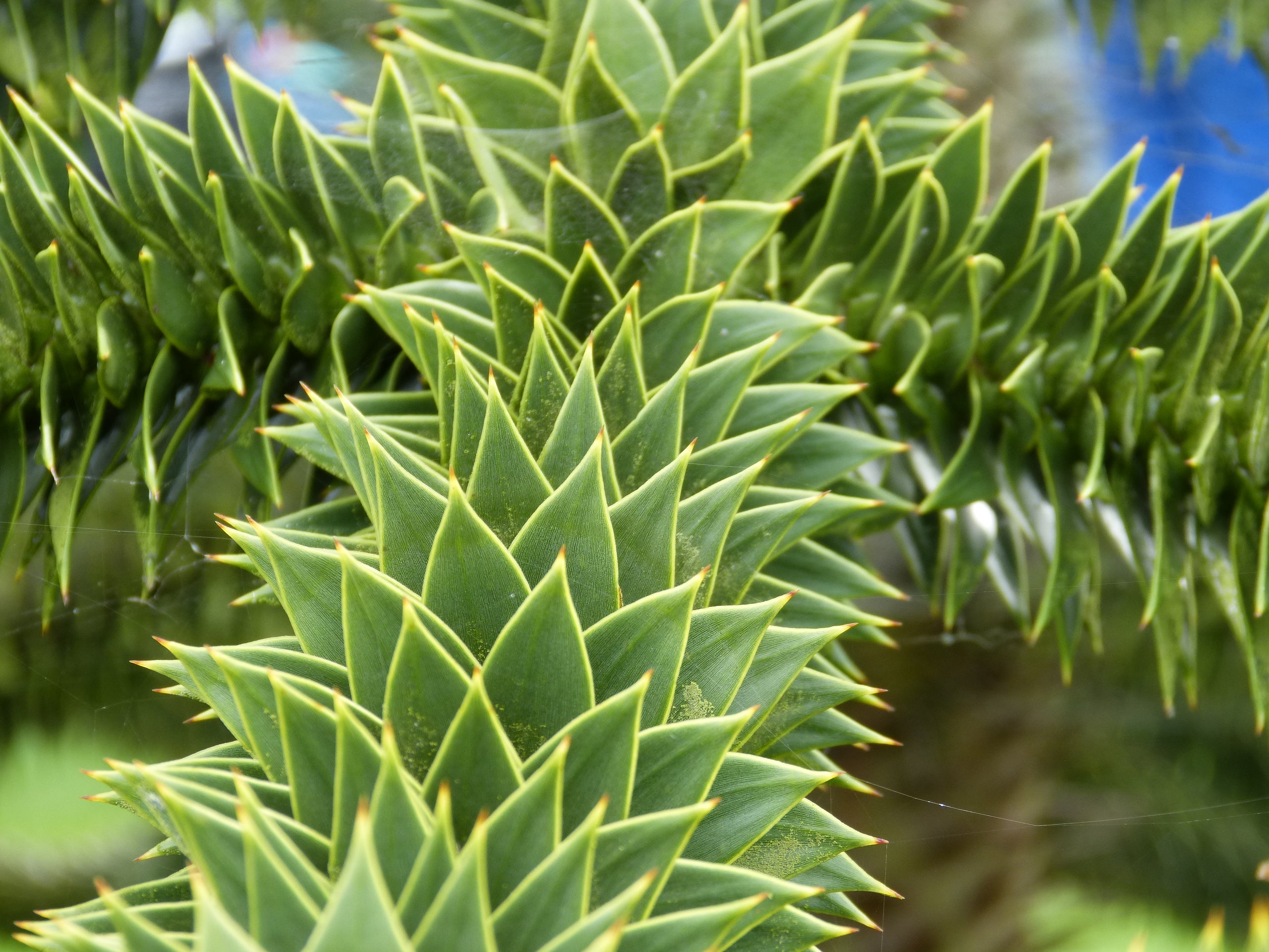 Lorem Ipsum 2 – Technically Stable